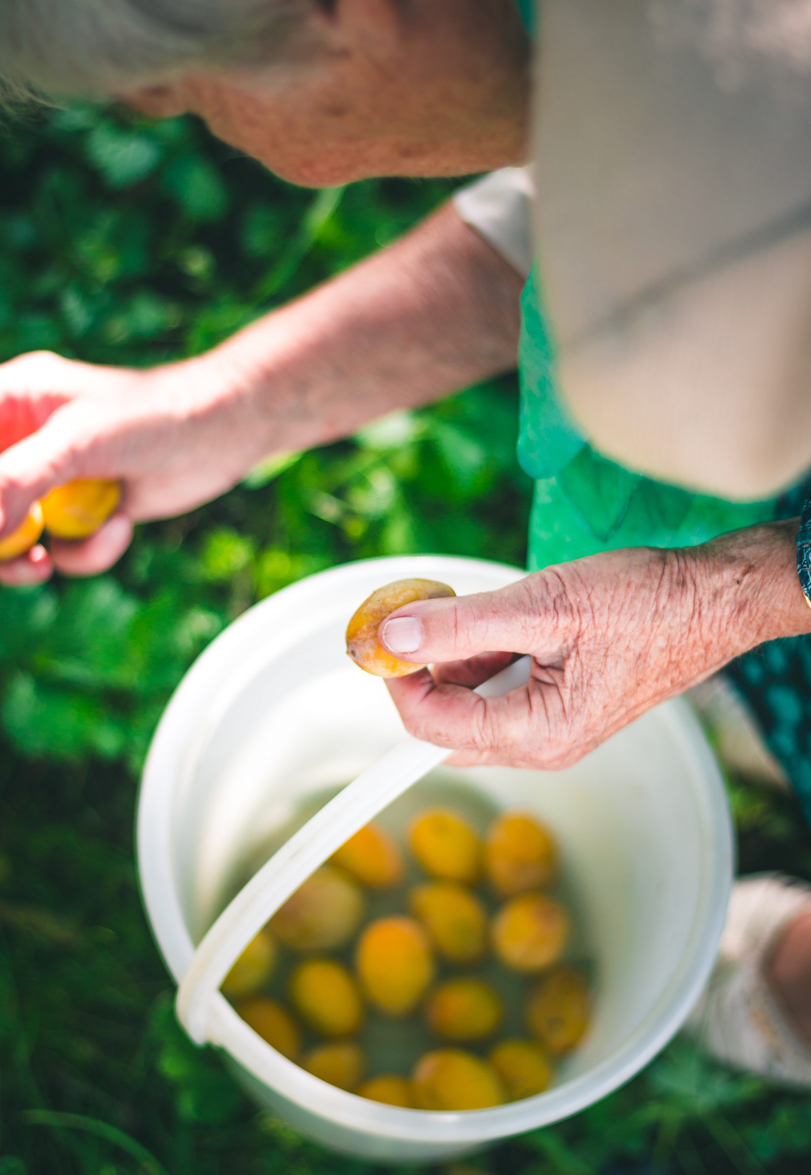 Senior Hunger: What It Means, and What You Can Do - Empowerline